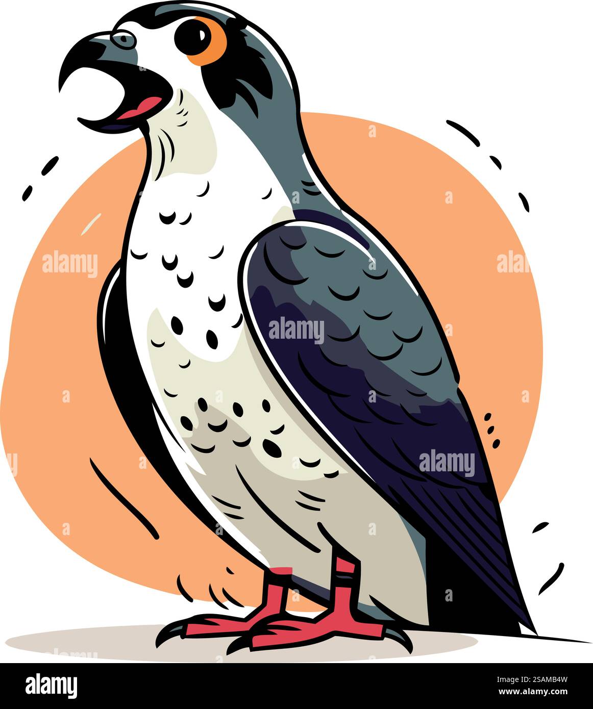 Goshawk Stock Vector Images - Alamy