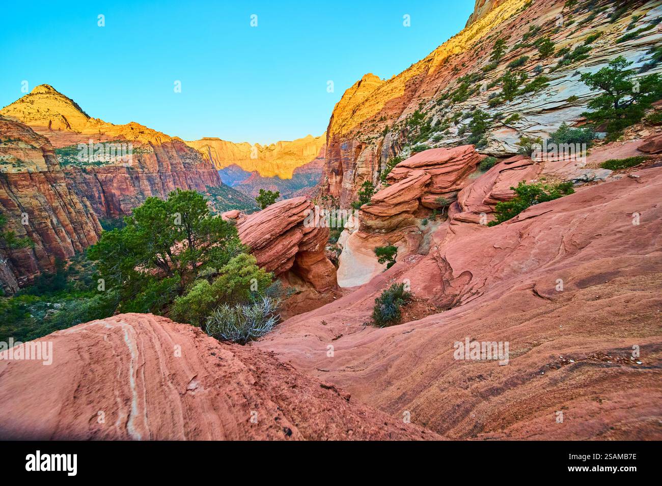 Zion National Park Red Rock Cliffs Golden Hour Eye-Level View Stock ...