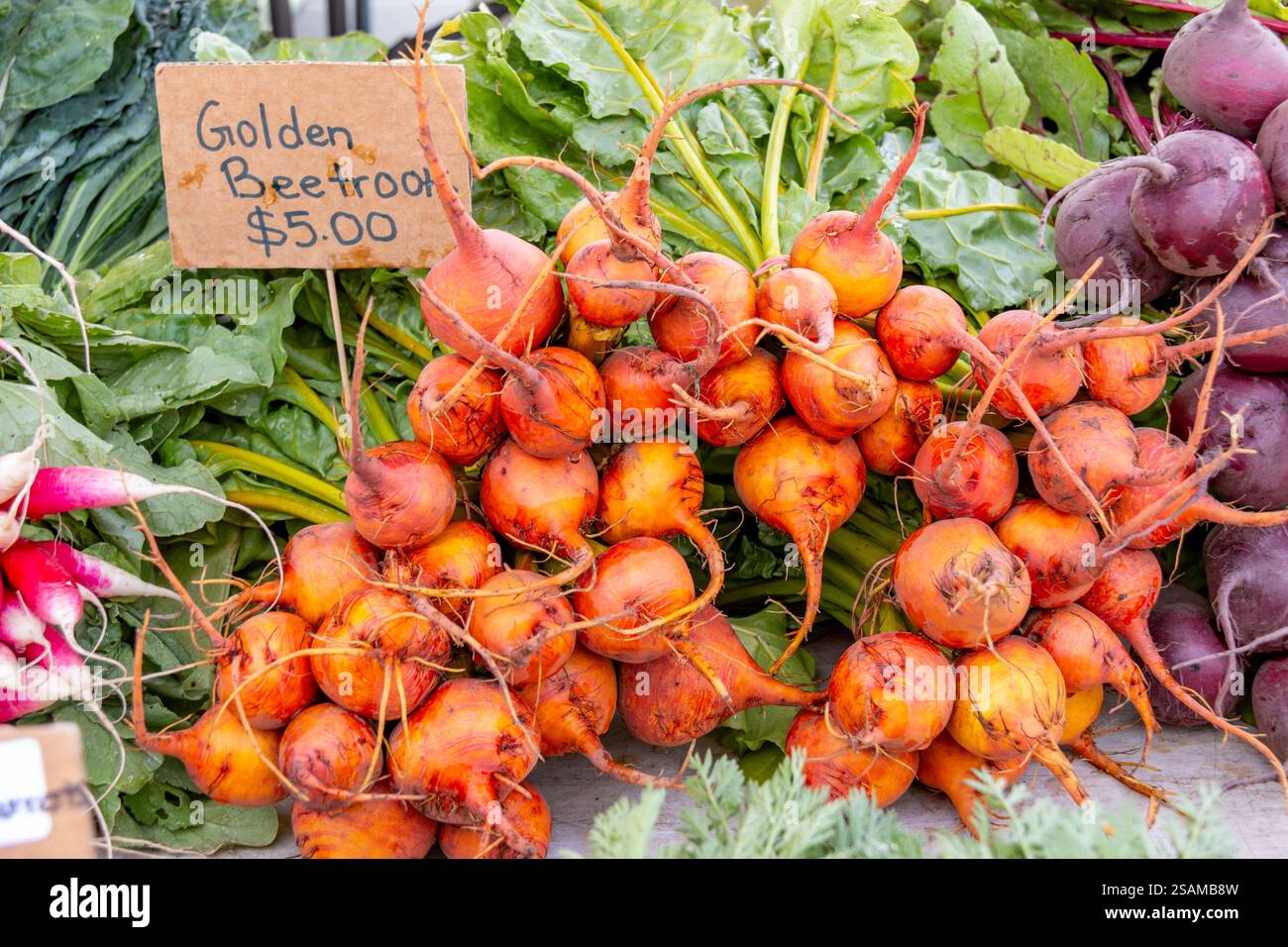 Red yellow white beetroot hi-res stock photography and images - Alamy