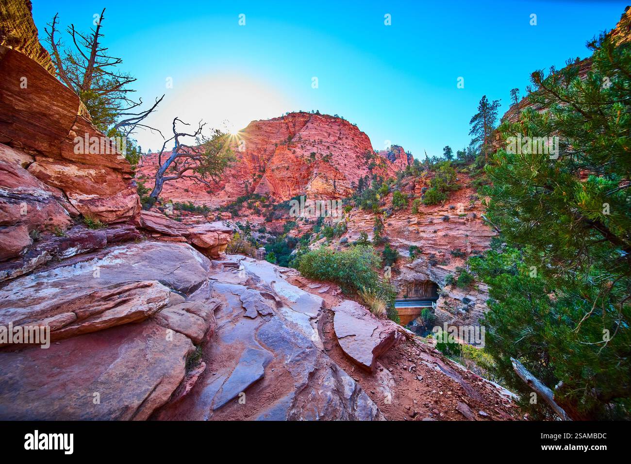 Zion National Park Red Rocks Golden Hour Trail Eye-Level View Stock ...