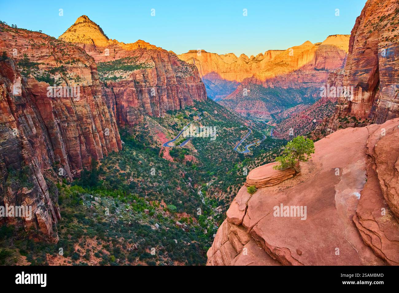 Zion Red Rock Canyons Golden Hour View with Winding Road Stock Photo ...