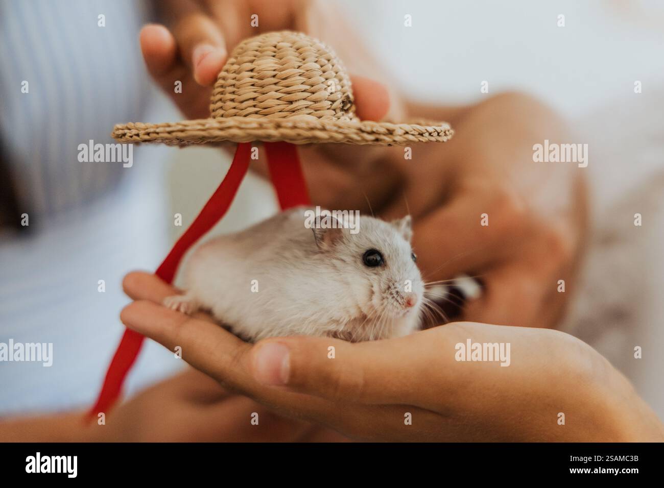 A joyful smile lights up the child's face as she enjoys quality time ...