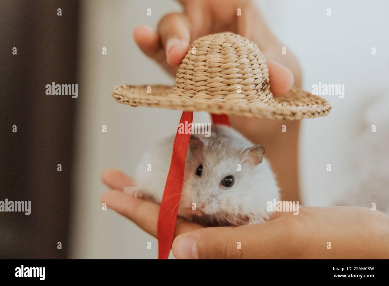 This image portrays the pure joy of a child and her pet hamster bonding ...