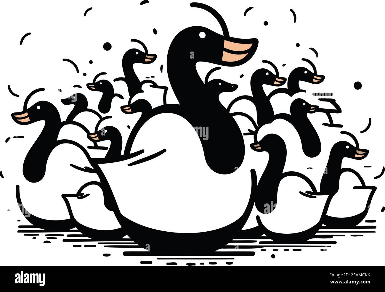 Black and white illustration of a swan with a flock of ducks Stock ...
