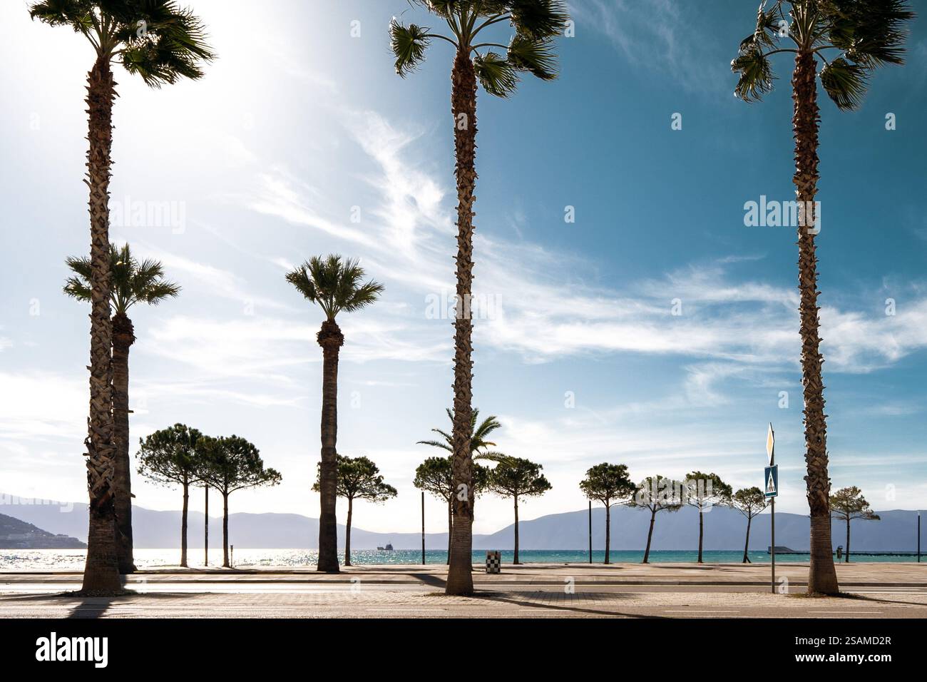 Palm trees on the shore of the Adriatic Sea. Lungomare, Vlora, Albania ...