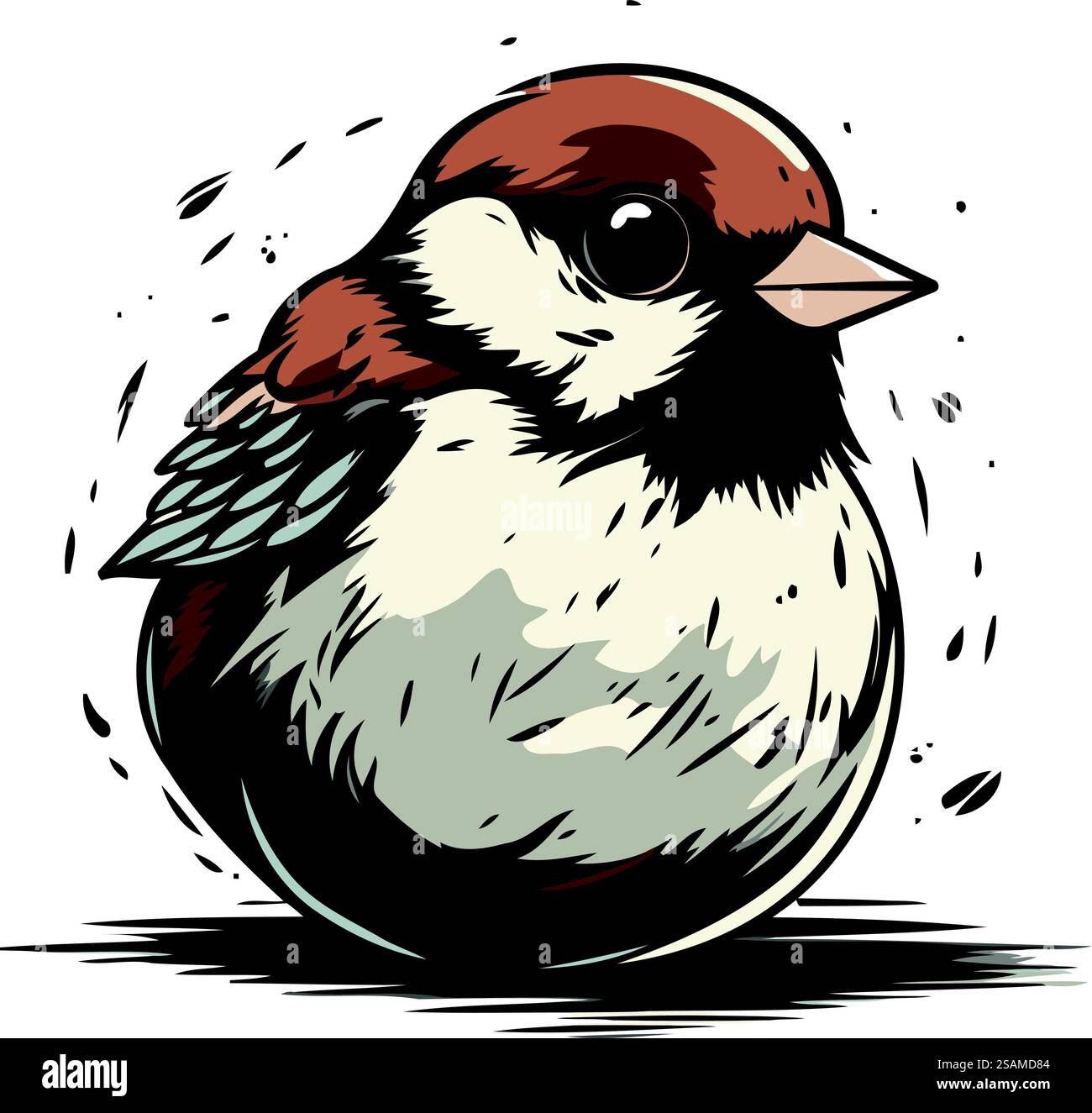Sparrow. Hand drawn vector illustration of a sparrow Stock Vector Image ...