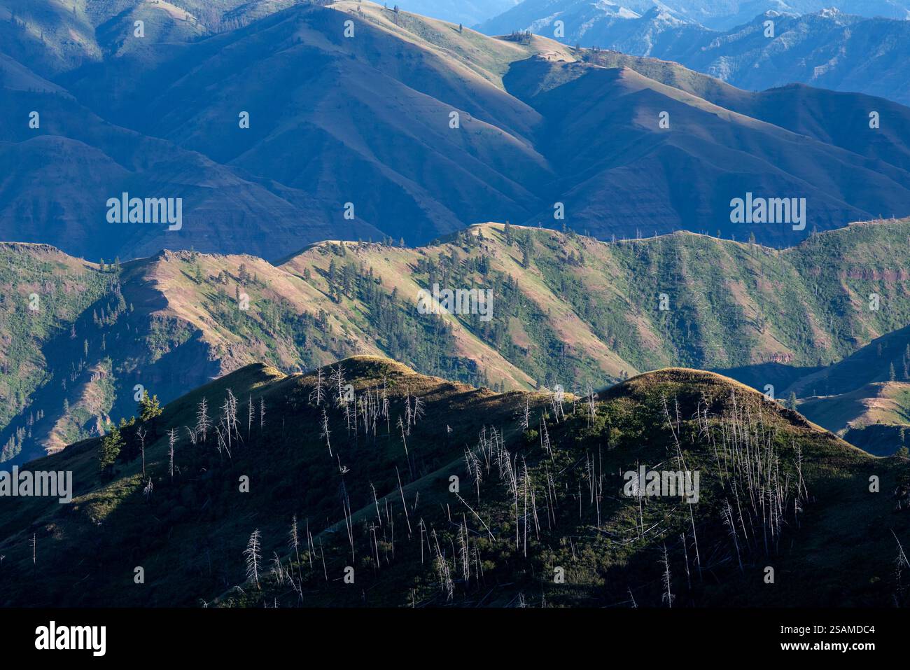 Imnaha Canyon, Northeast Oregon Stock Photo - Alamy