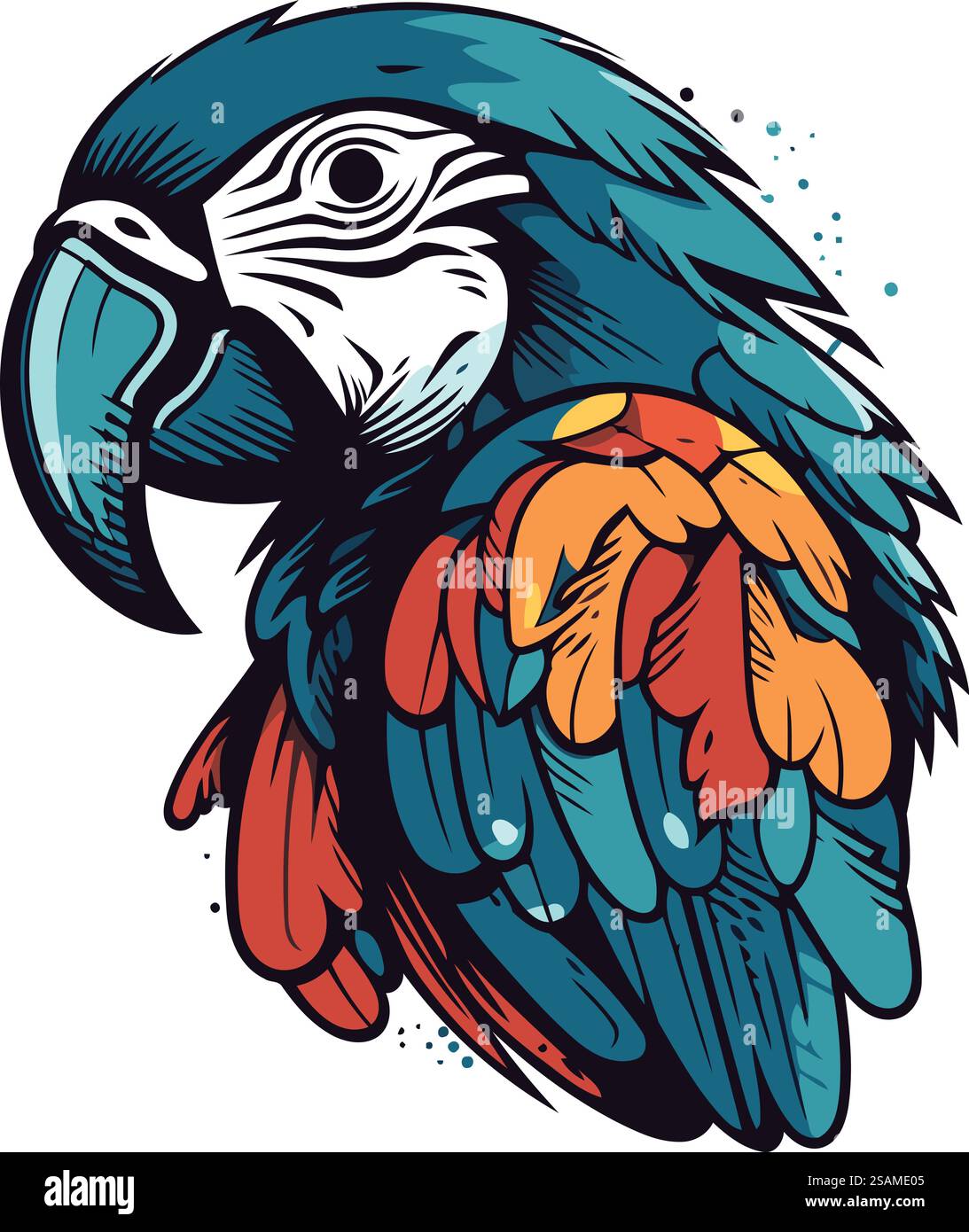 Vector illustration of a macaw parrot on white background. Hand drawn ...