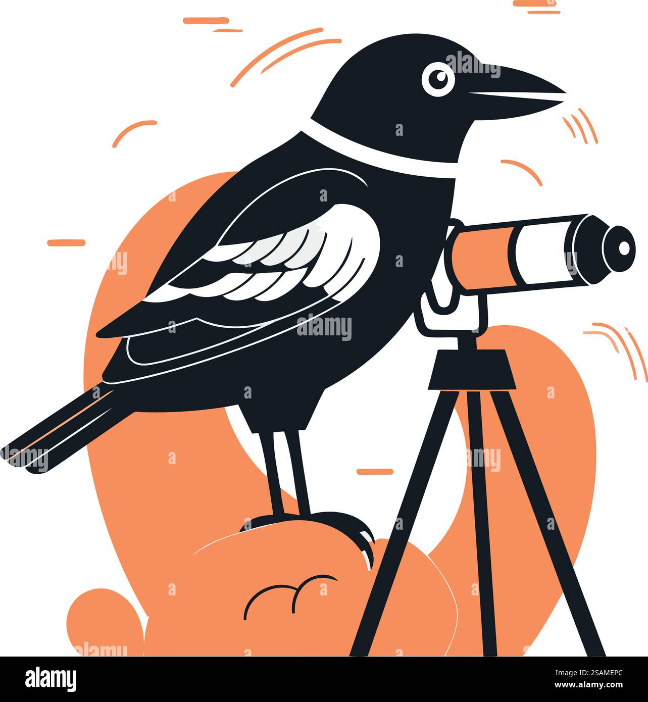 Crow and telescope. Bird watching. Vector illustration in flat style ...