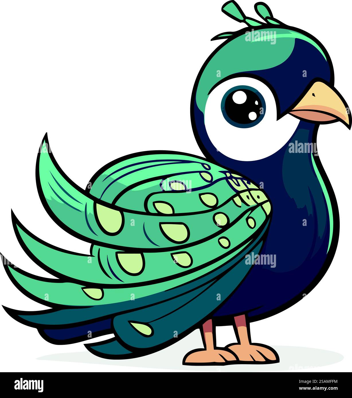 Cartoon Peacock Tail