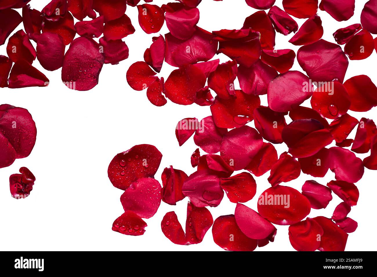 Petals cutout hi-res stock photography and images - Alamy