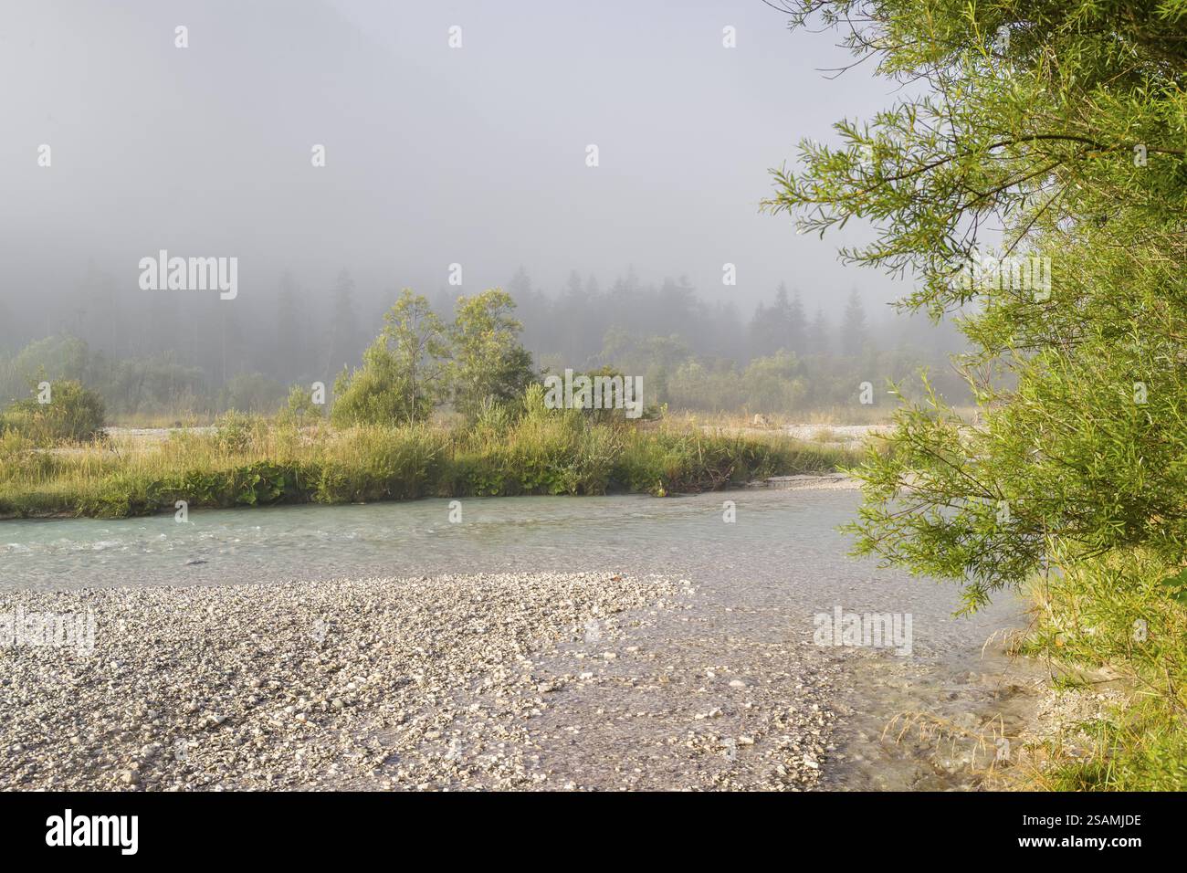 Isar valley nature conservancy area. The wild Isar river flows through ...