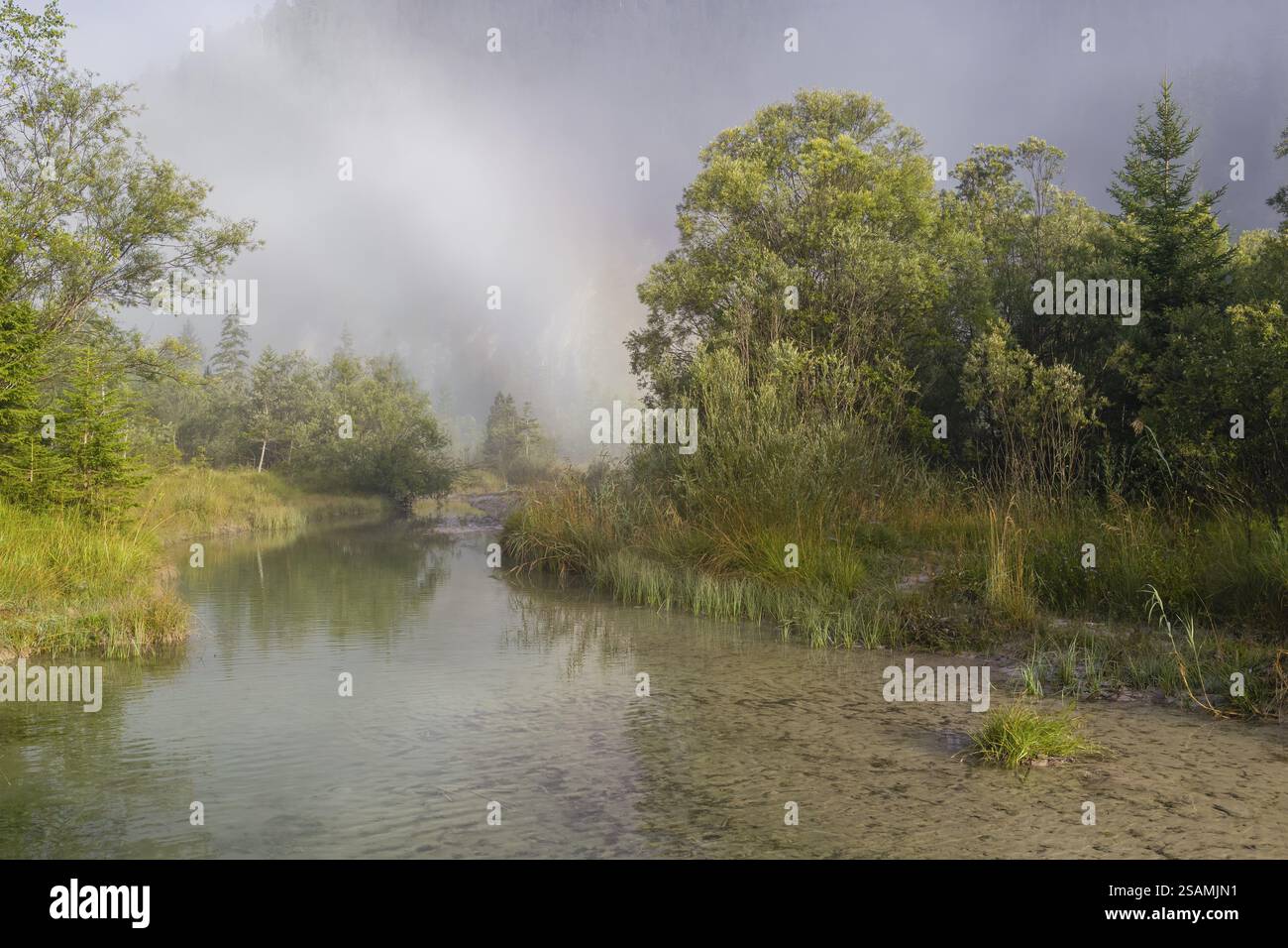 Isar valley nature conservancy area. The wild Isar river flows through ...
