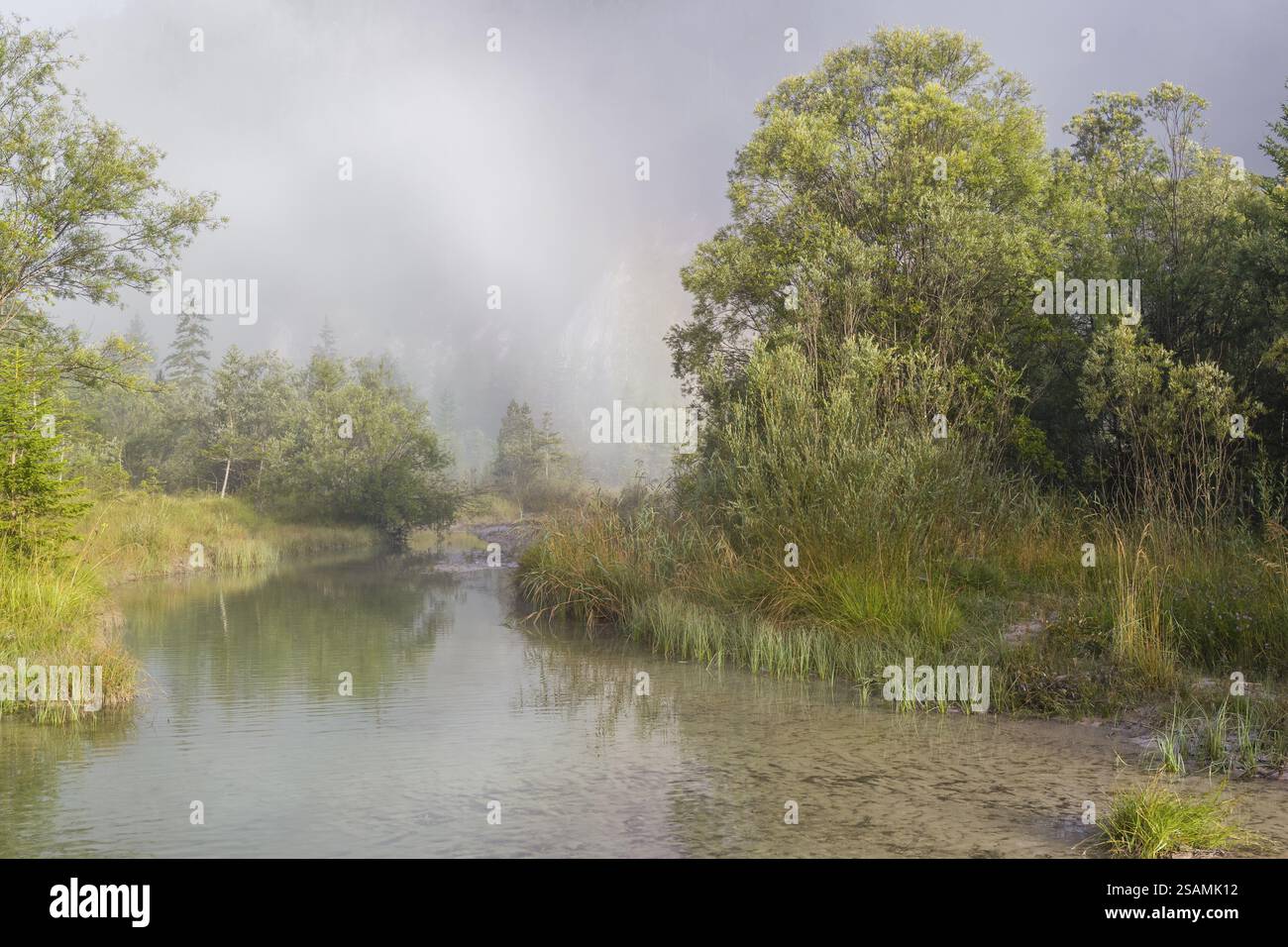 Isar valley nature conservancy area. The wild Isar river flows through ...