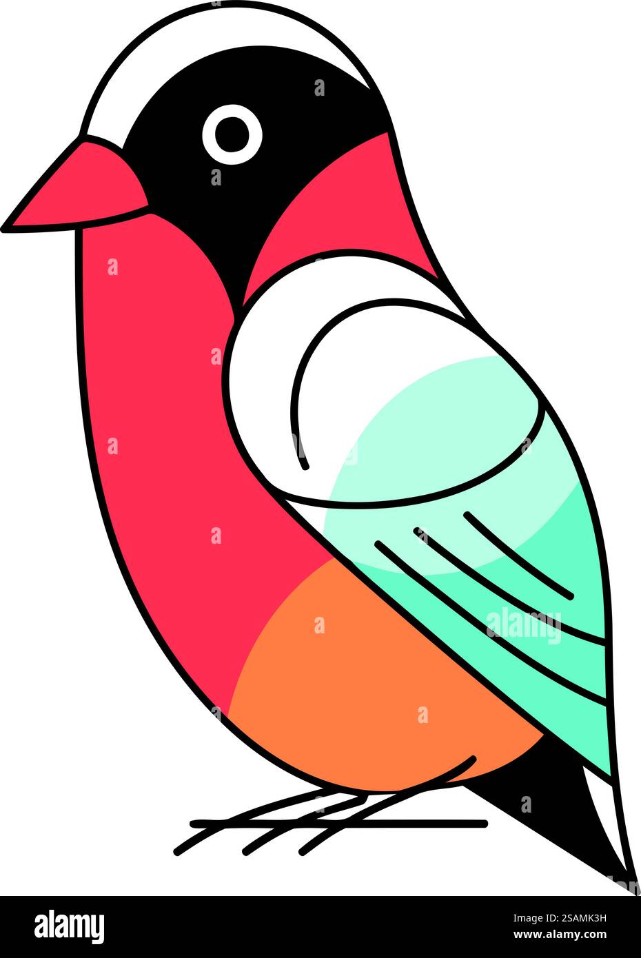 Bullfinch. bullfinch. bullfinch vector illustration Stock Vector Image ...