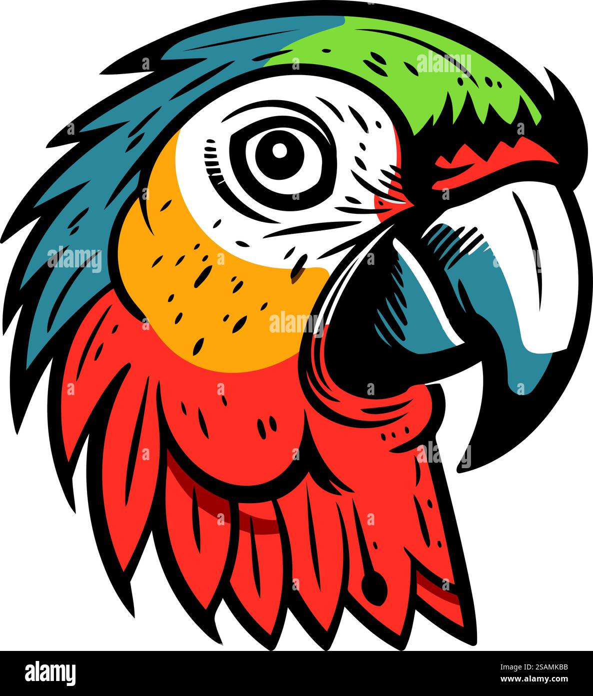 Parrot head vector illustration isolated on white background. Parrot ...
