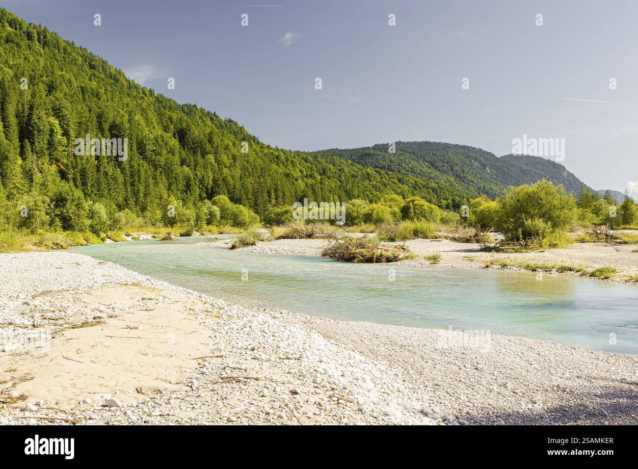 Isar valley nature conservancy area on an early sunny morning. The wild ...