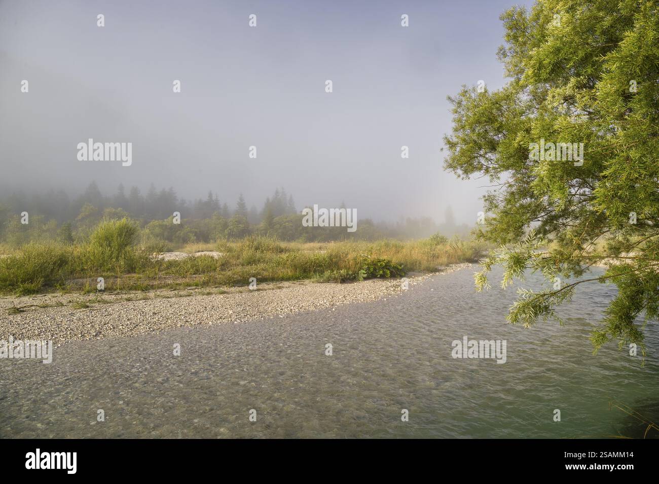 Isar valley nature conservancy area. The wild Isar river flows through ...