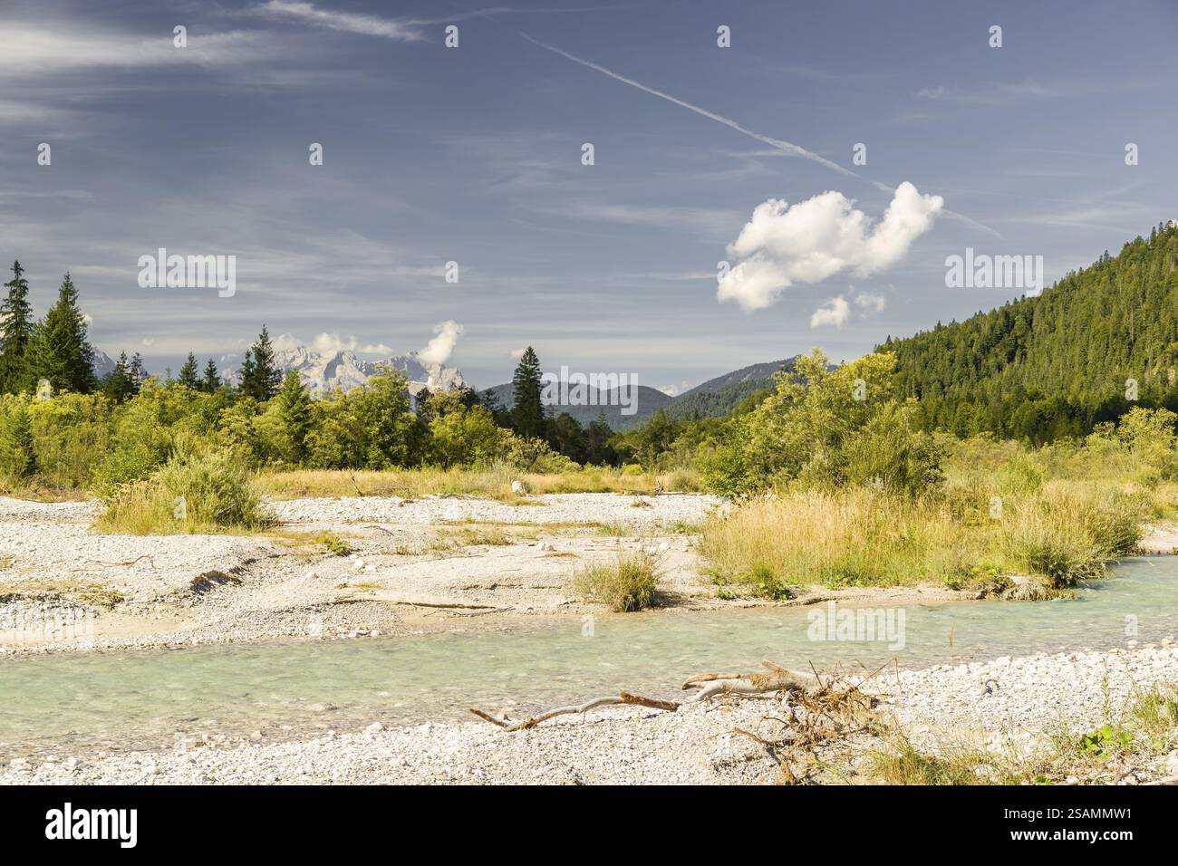 Isar valley nature conservancy area on an early sunny morning. The wild ...
