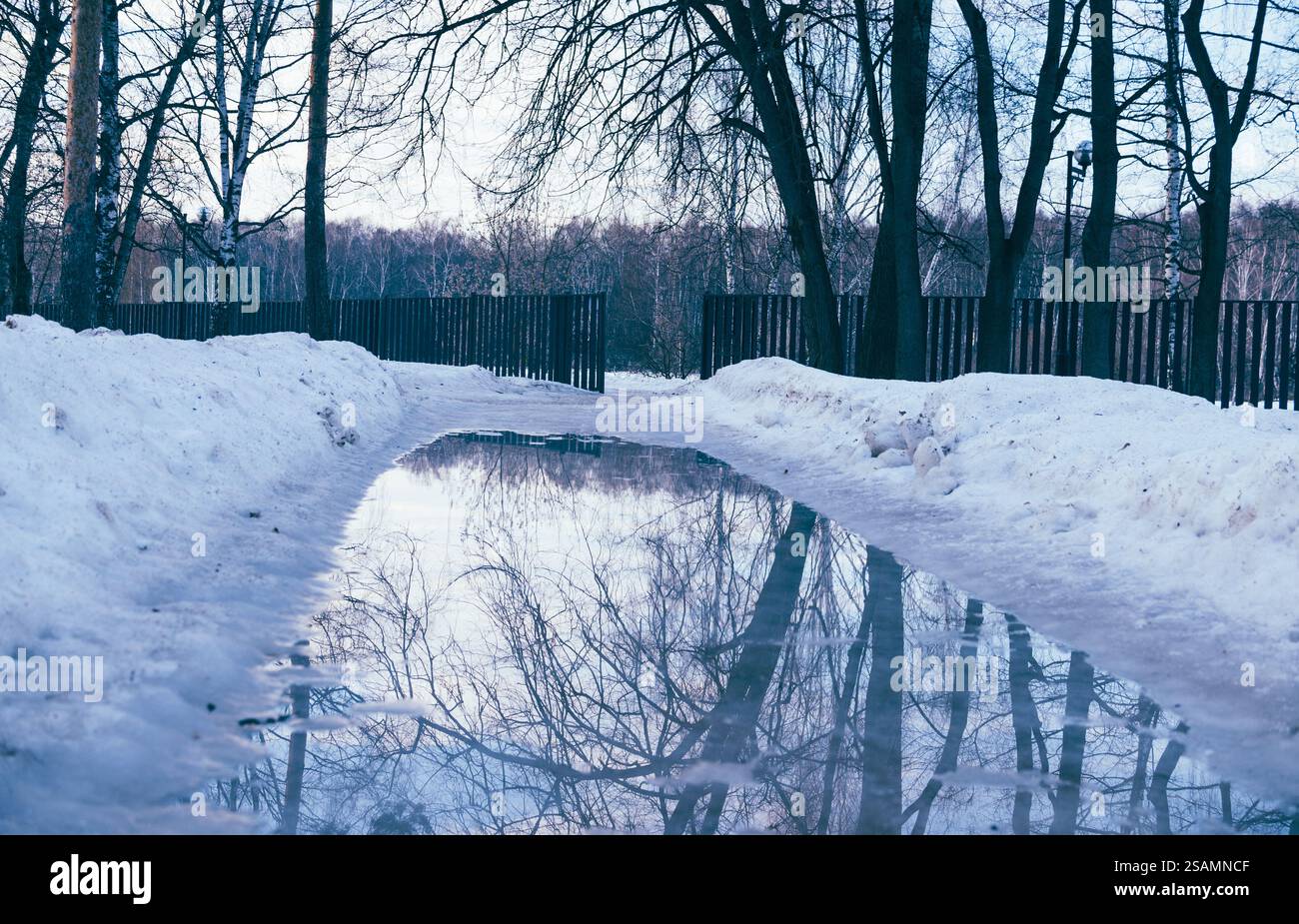 path in a city park in early spring, melting ice and water on a road ...