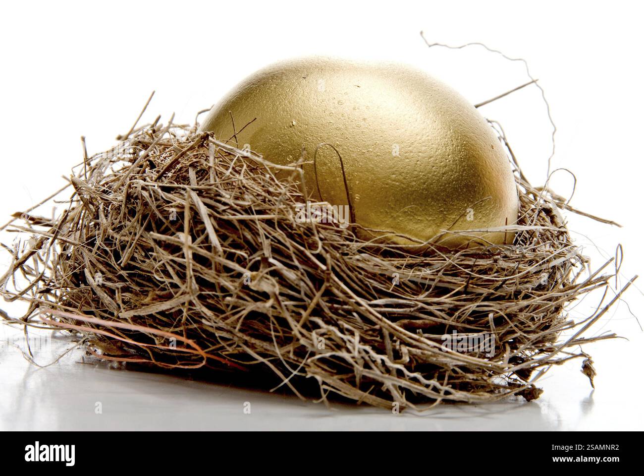 Golden Goose Egg
