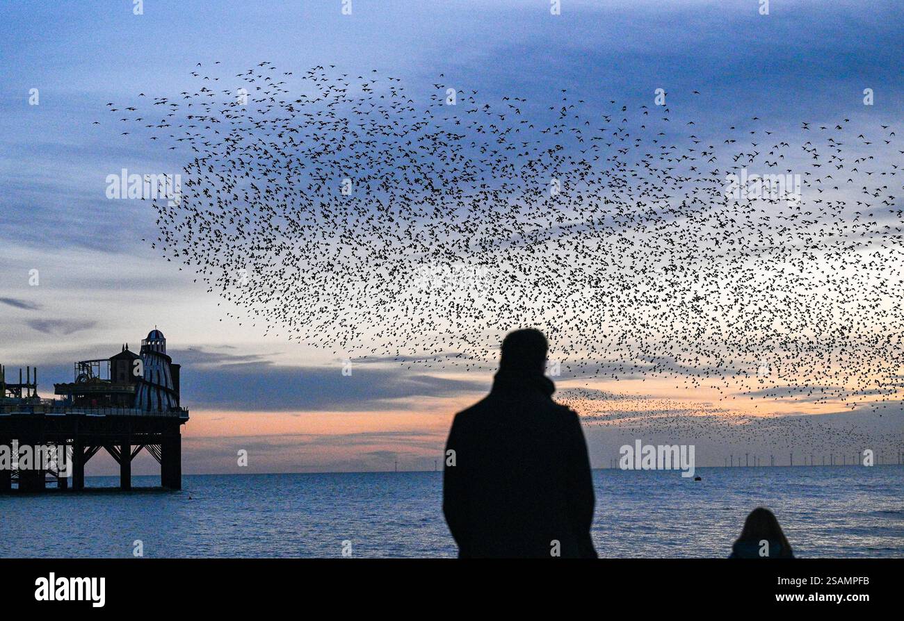 Brighton UK 30th January 2025 - Spectators watch the spectacular ...