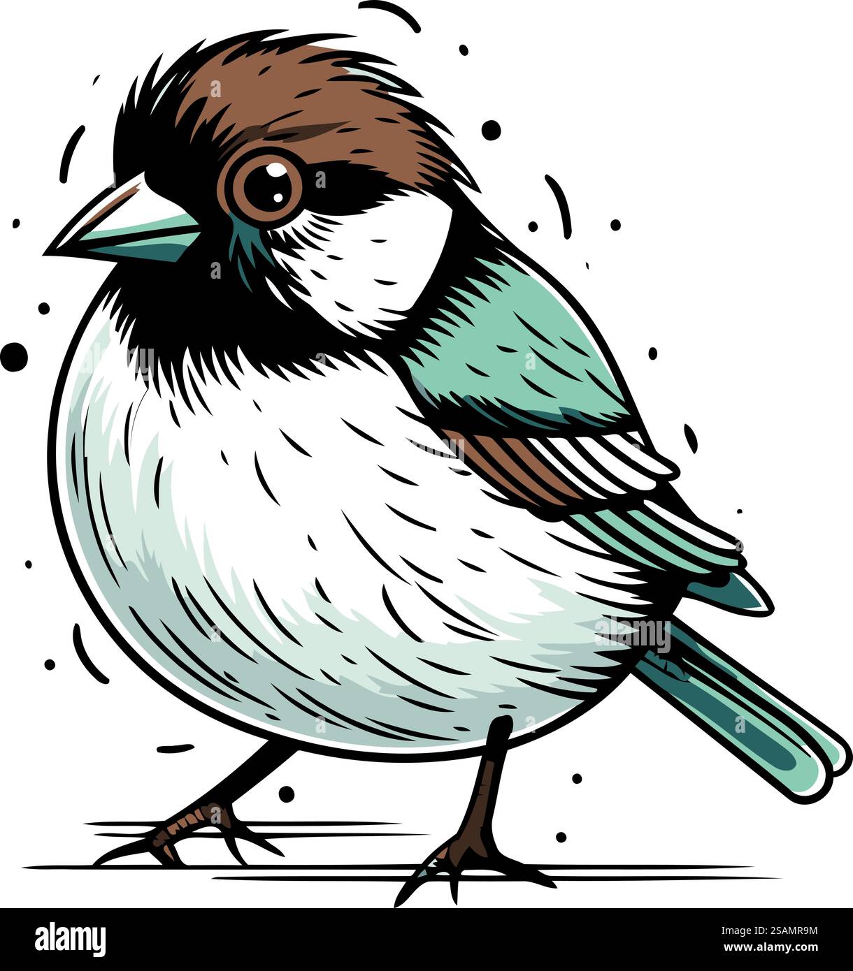 Chickadee bird on the white background. Vector illustration Stock ...