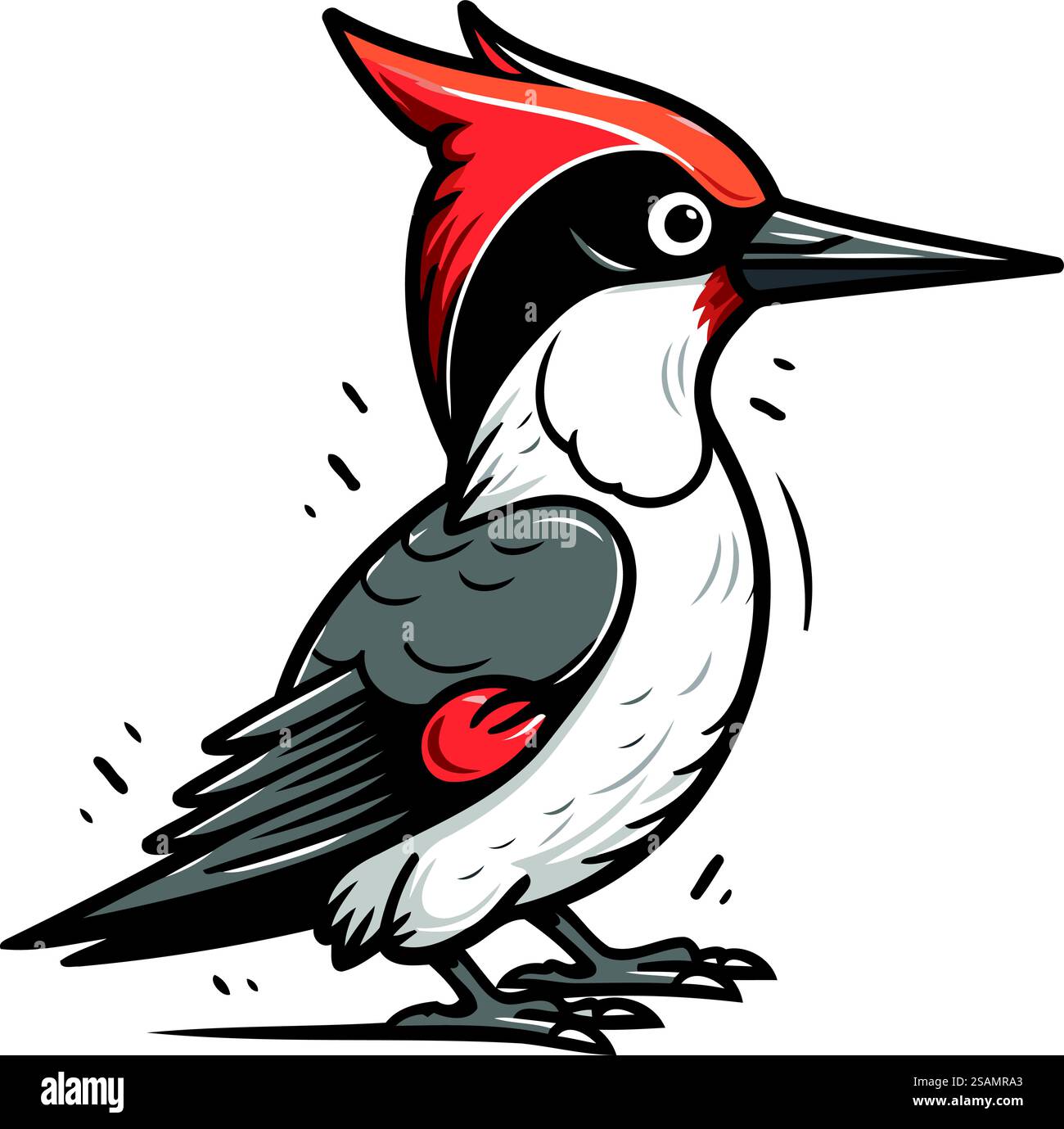 Red backed Woodpecker. Vector illustration on white background Stock ...