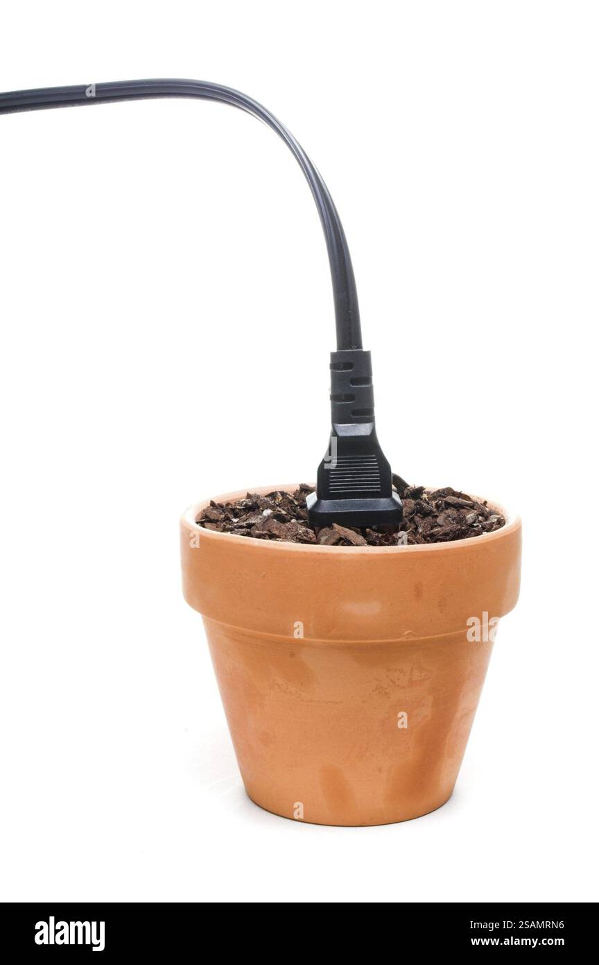 Flower planters Cut Out Stock Images & Pictures - Alamy