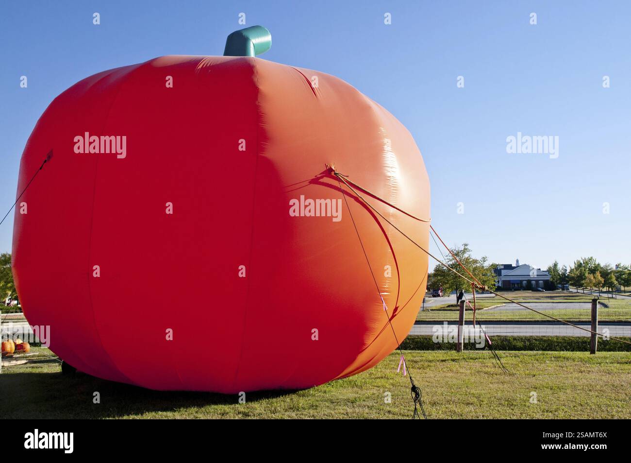A gigantically huge inflatable vinyl harvest pumpkin Stock Photo - Alamy
