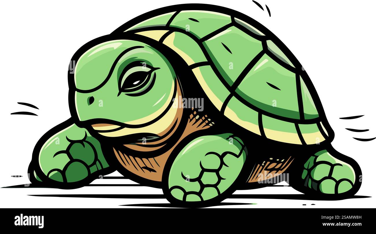 Cartoon turtle. Vector illustration of a tortoise on a white background ...