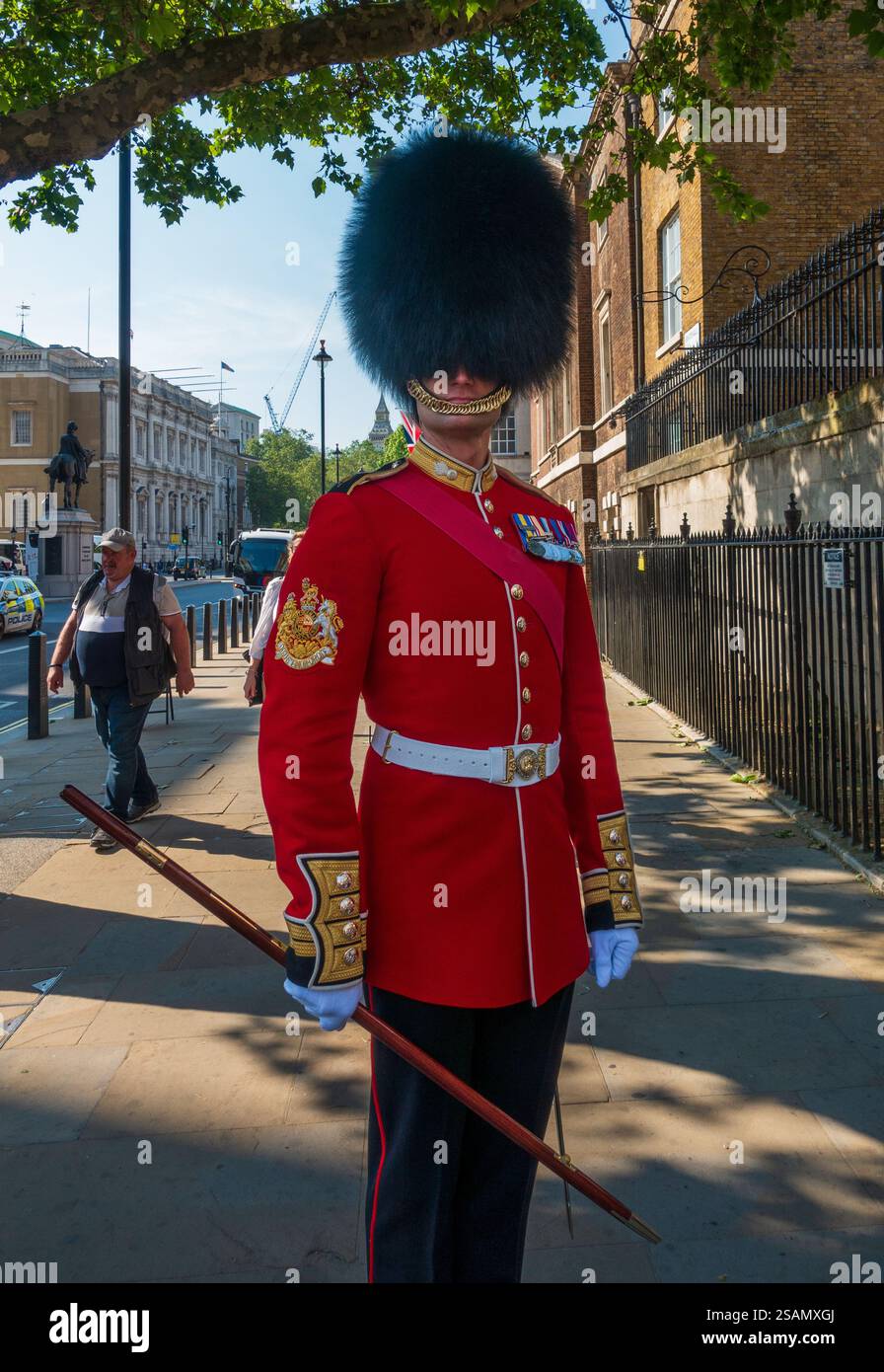 Soldier of the Grenadier Guards Regiment in Whitehall, London Stock ...