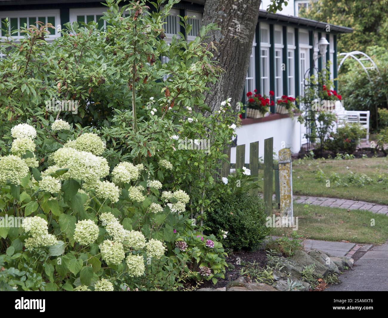 Inviting nature paths hi-res stock photography and images - Alamy