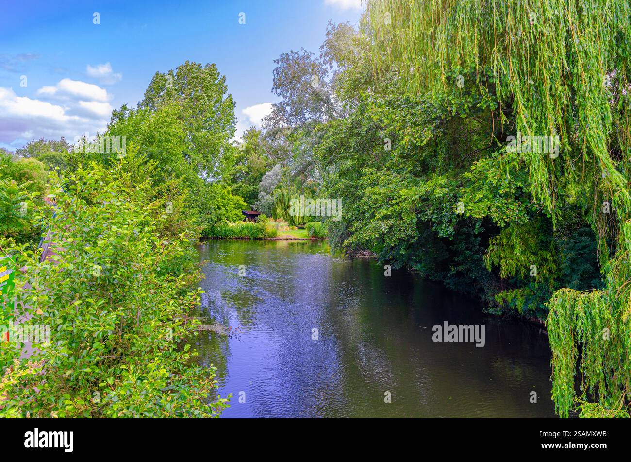 Green trees over water canal of River Somme. Hortillonnages floating ...