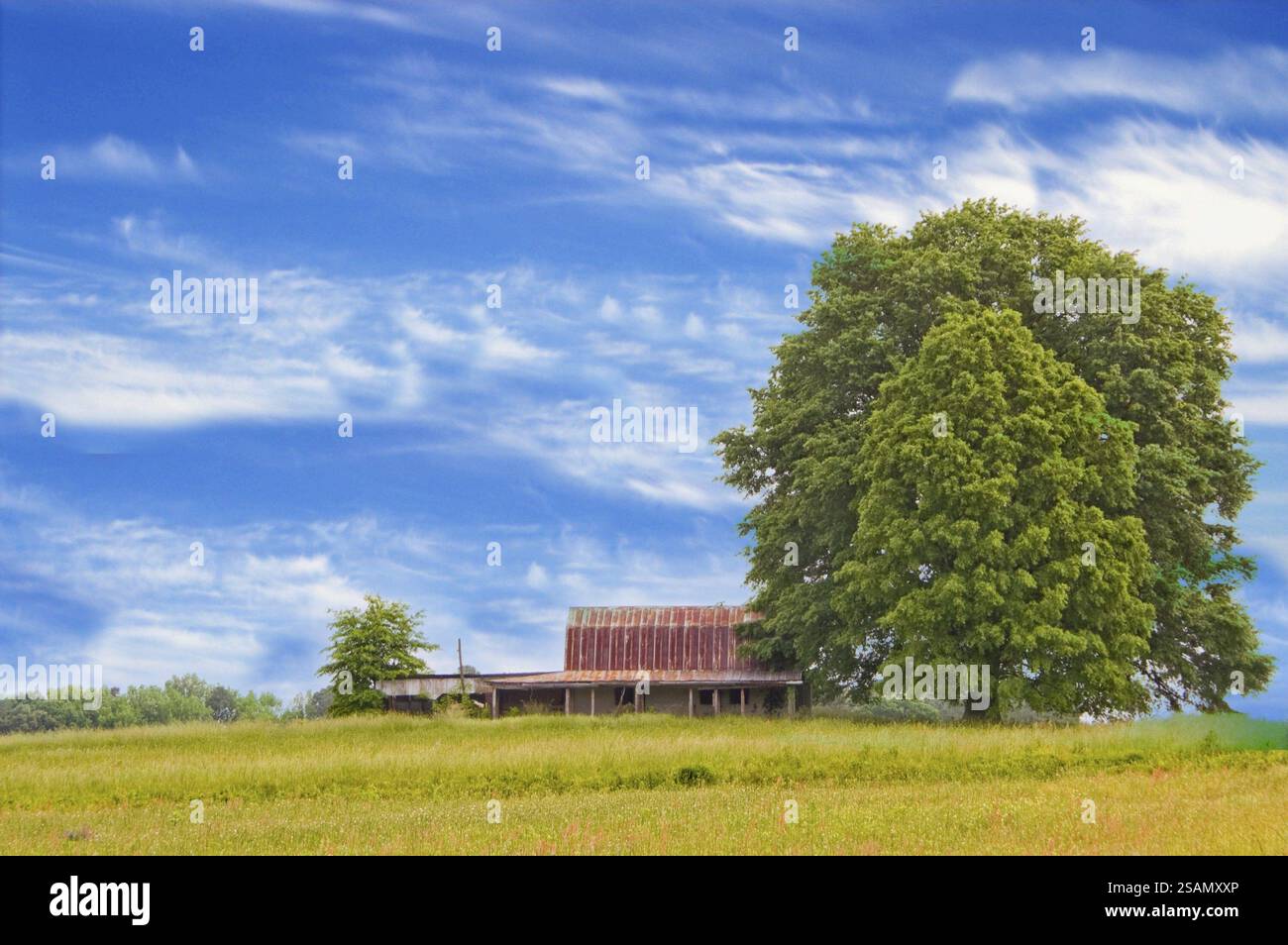Agriculture History - An old abandoned barn Stock Photo - Alamy