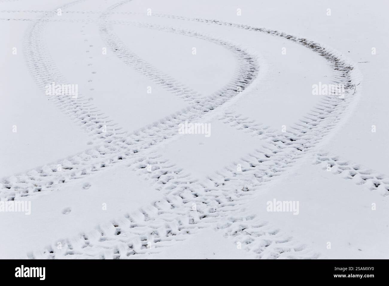 Winter, tire tracks in snow, Province of Quebec, Canada, North America ...