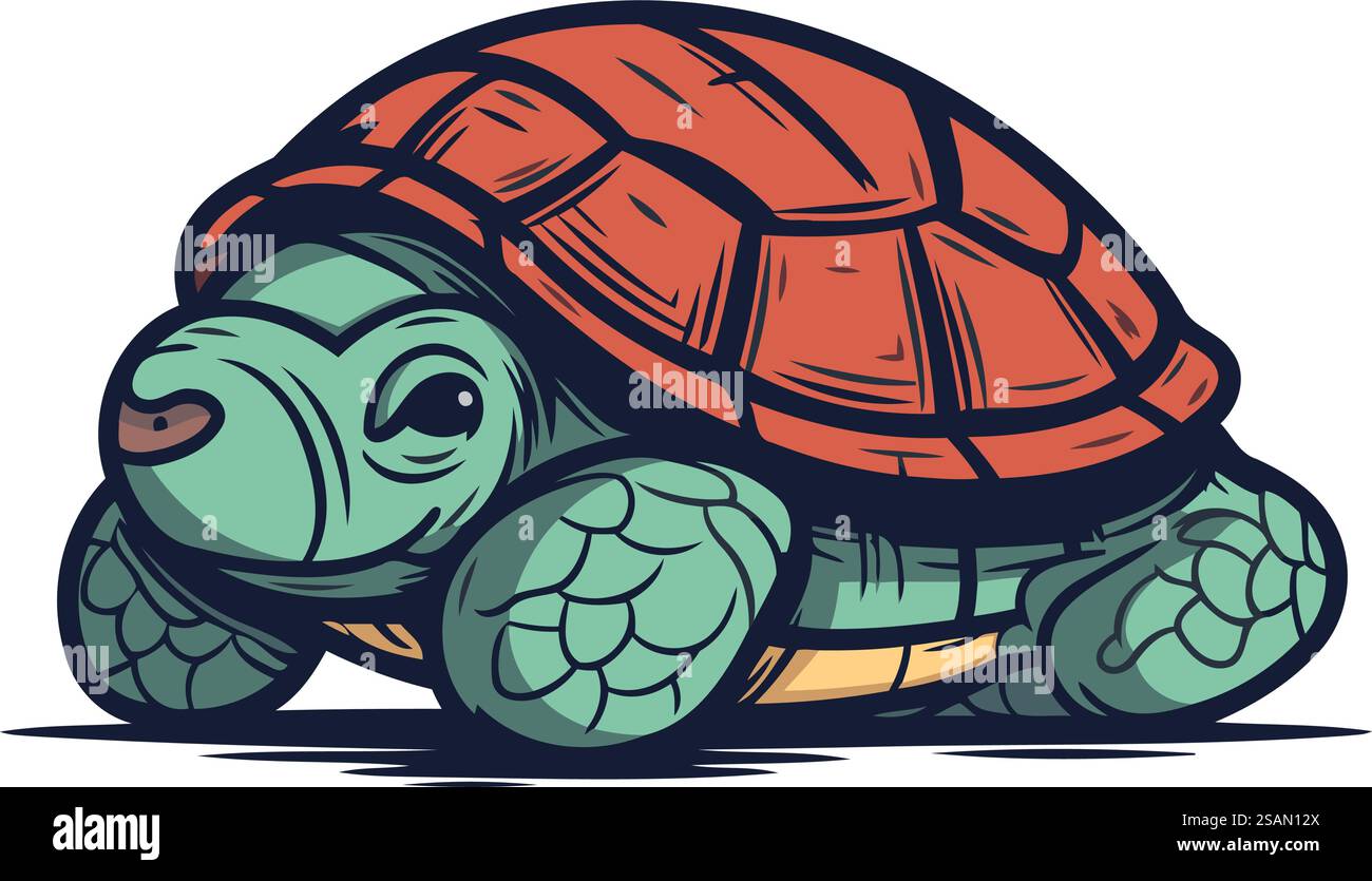 Turtle cartoon vector illustration. Isolated on white background ...