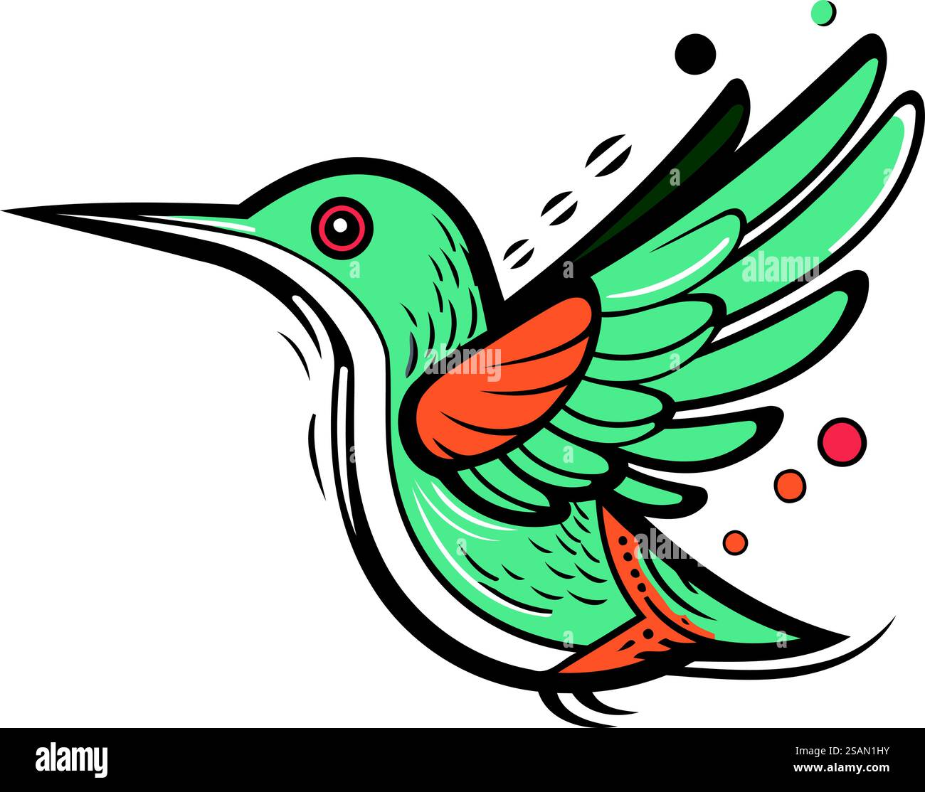 Vector illustration of a hummingbird in cartoon style on a white ...