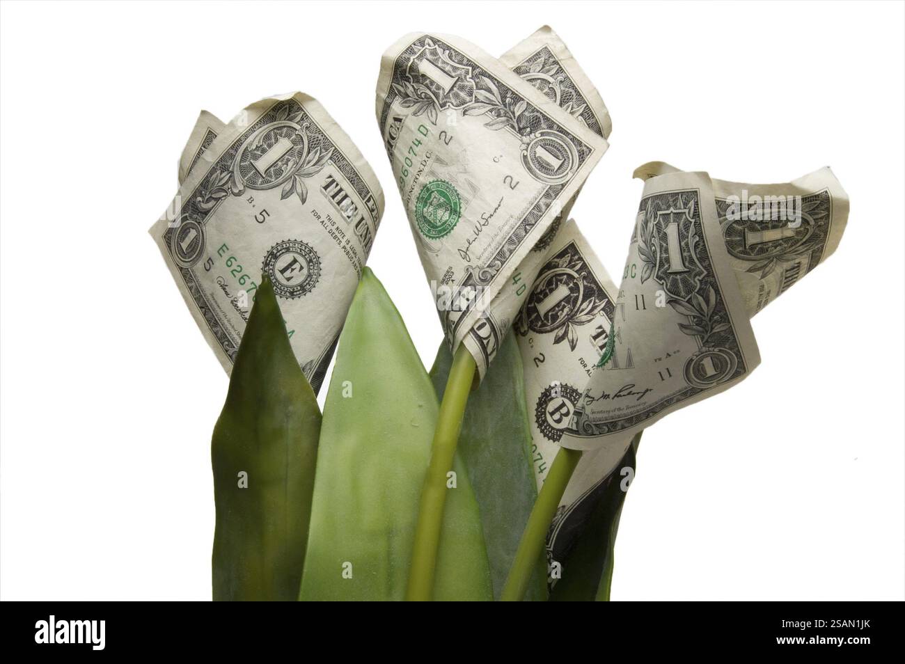 Monet doesn't grown on trees. Money is a flower Stock Photo - Alamy