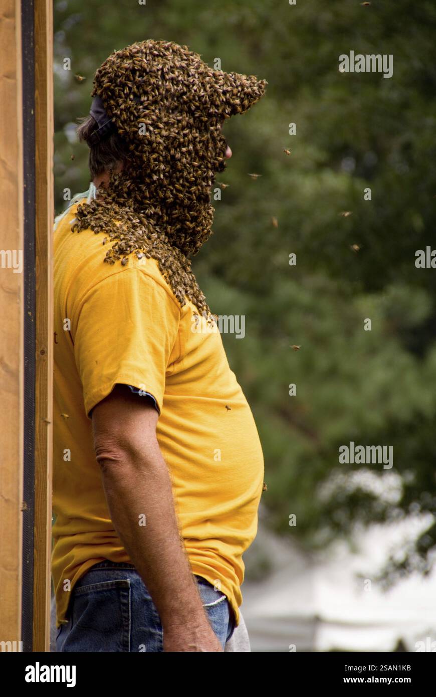 A bee keeper covered in a swarm of honey bees Stock Photo - Alamy