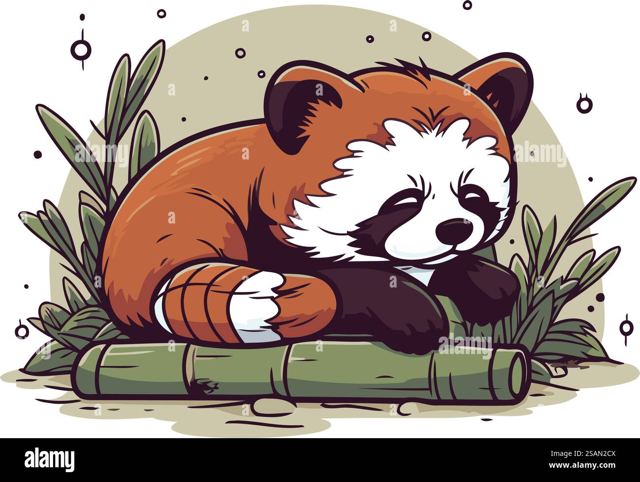 Vector illustration of a cute red panda sleeping on a bamboo Stock ...