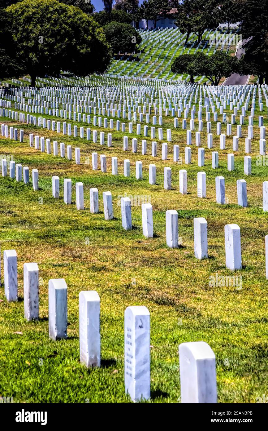 A cemetery with many white headstones. The headstones are lined up in ...