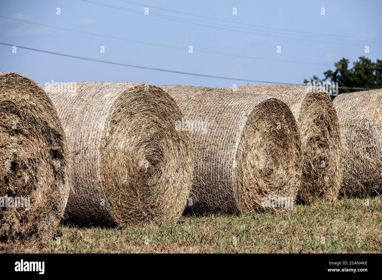 Rolling wheat fields harvested land hi-res stock photography and images ...