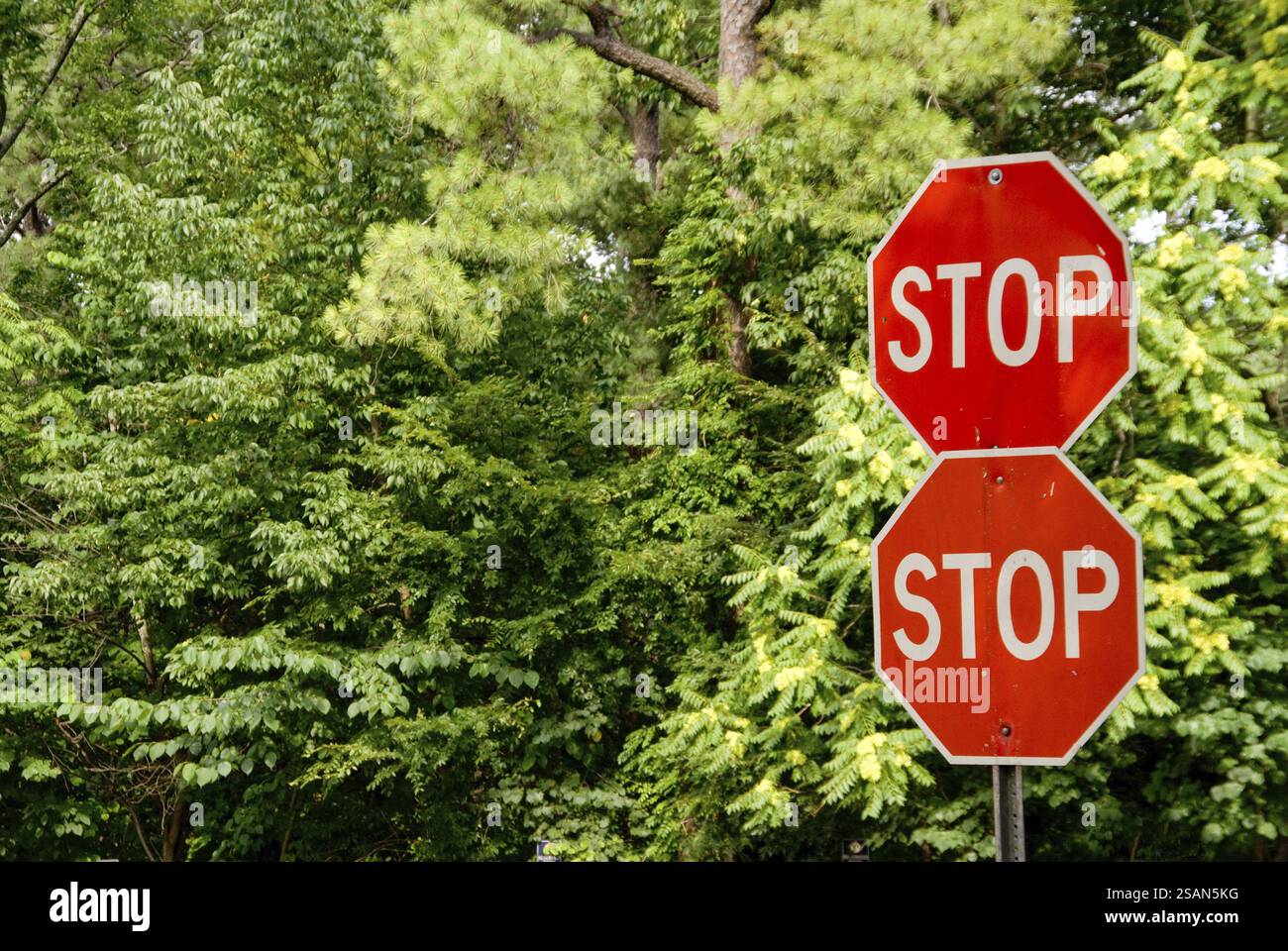 Really stop hi-res stock photography and images - Alamy