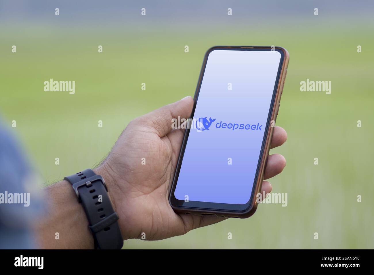 Deepseek Ai logo is displayed on smartphone Stock Photo - Alamy