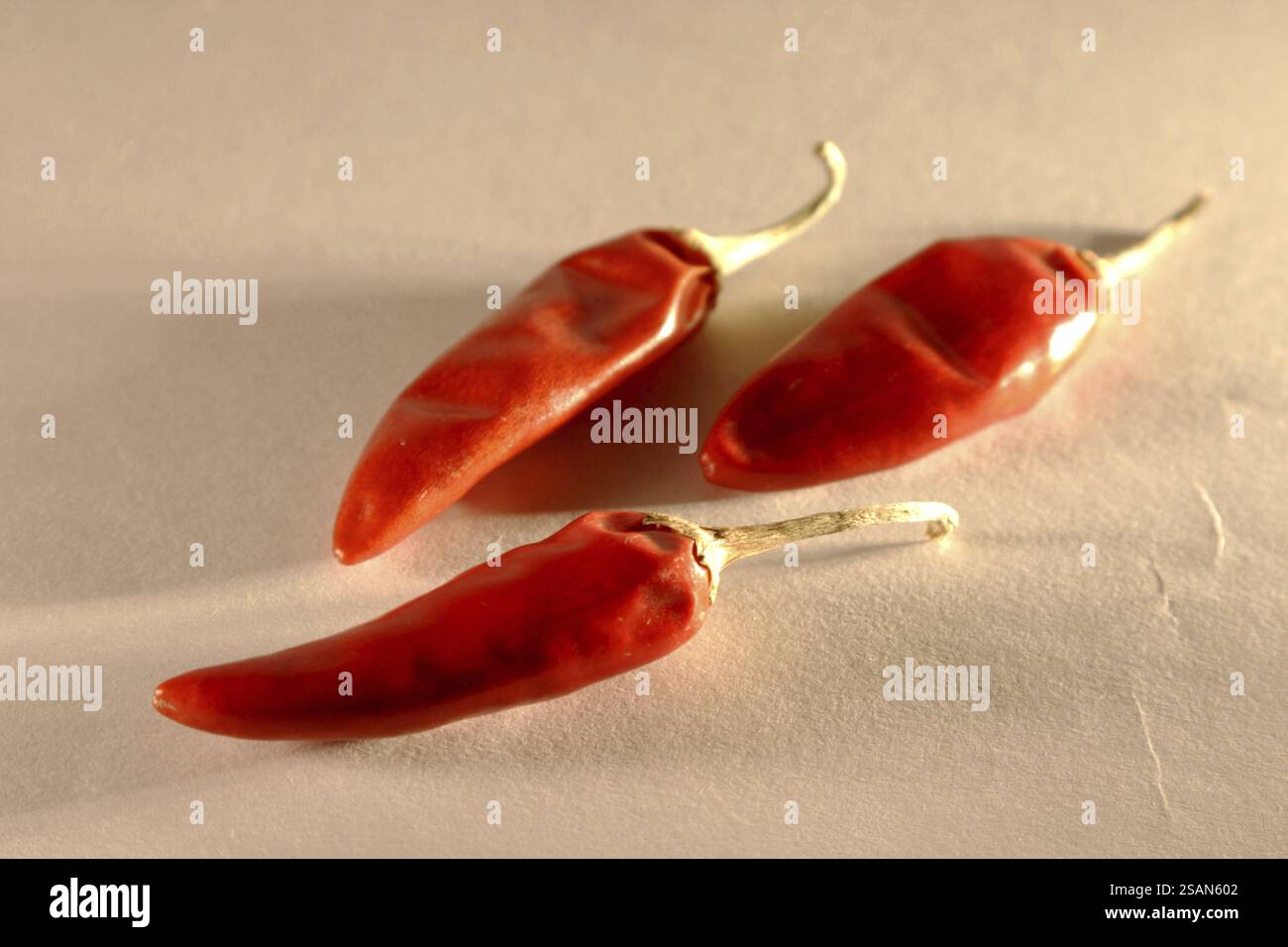 Indian Spice, Red Chillies, Birdseye chillies, Capsicum Annuum Stock ...