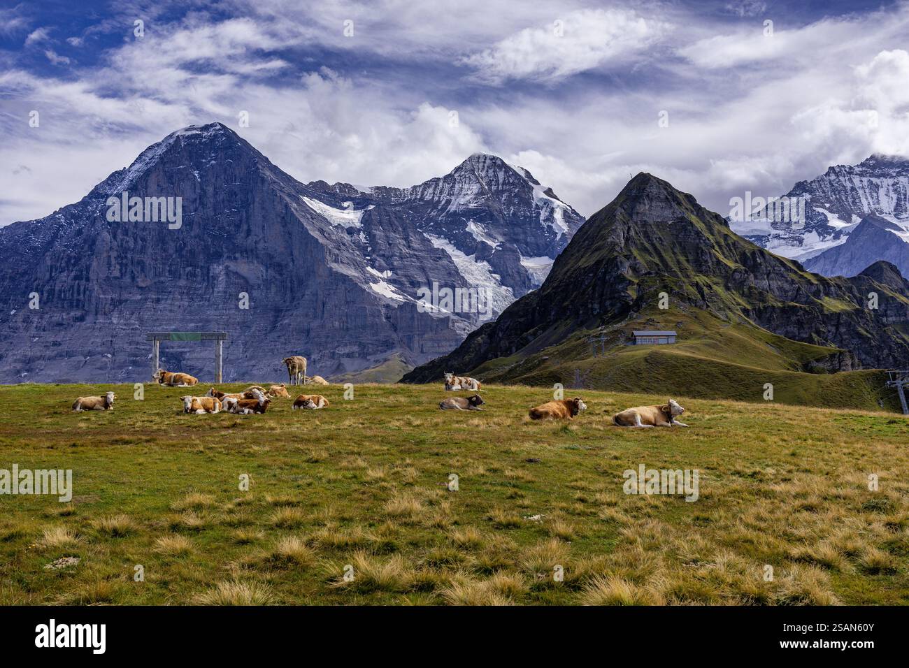 The Swiss Alps, a breathtaking mountain range nestled in the heart of ...