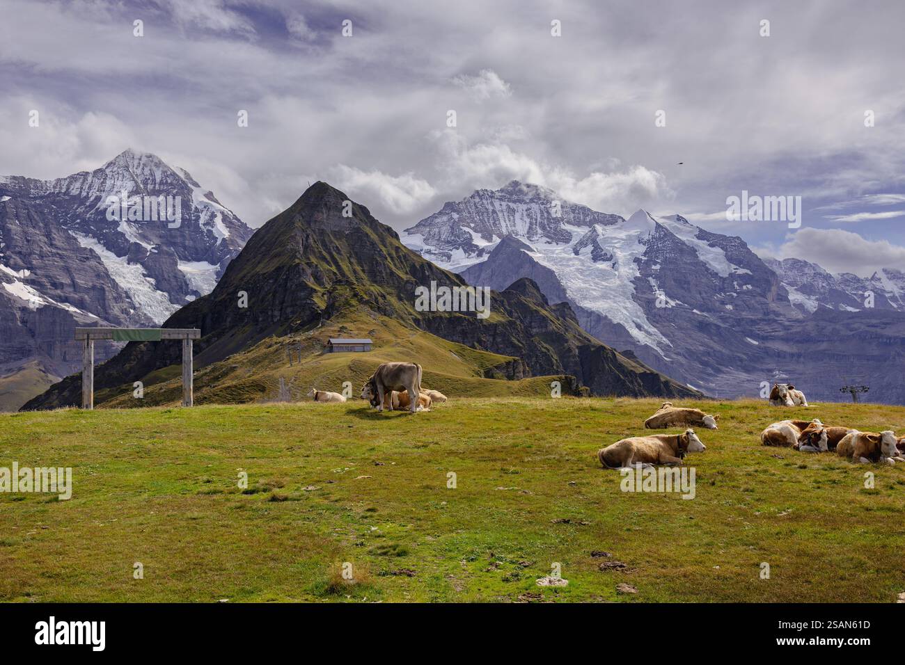 The Swiss Alps, a breathtaking mountain range nestled in the heart of ...