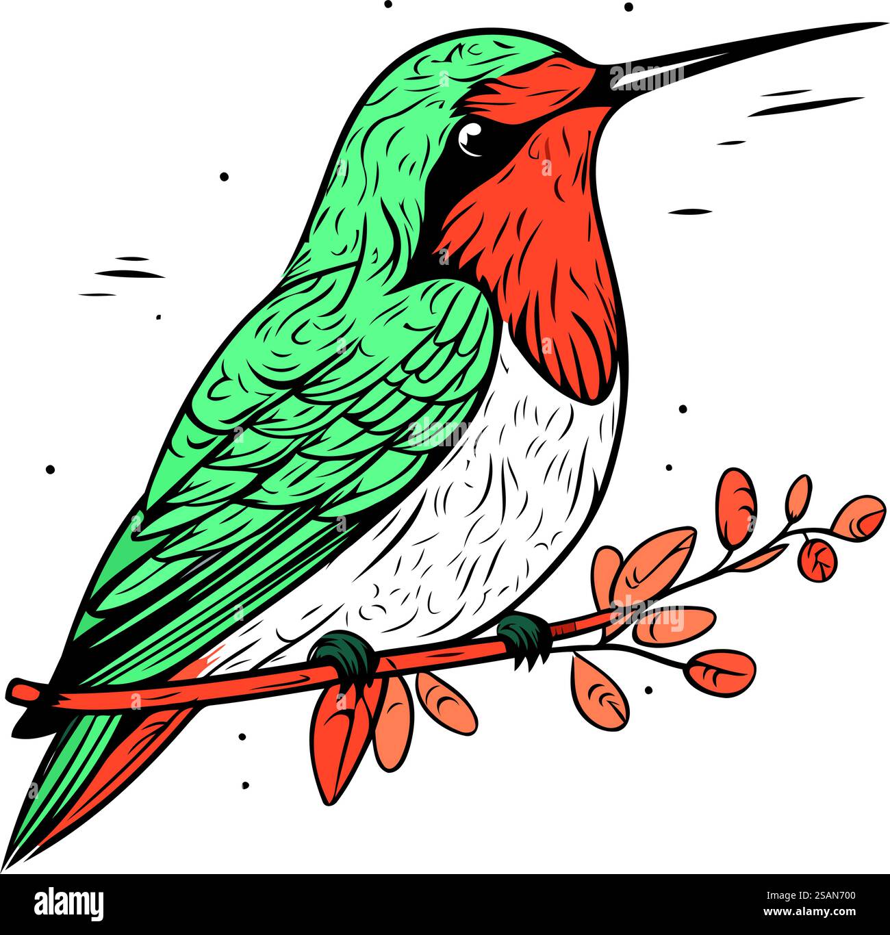 Hummingbird sitting on a branch. Hand drawn vector illustration Stock ...