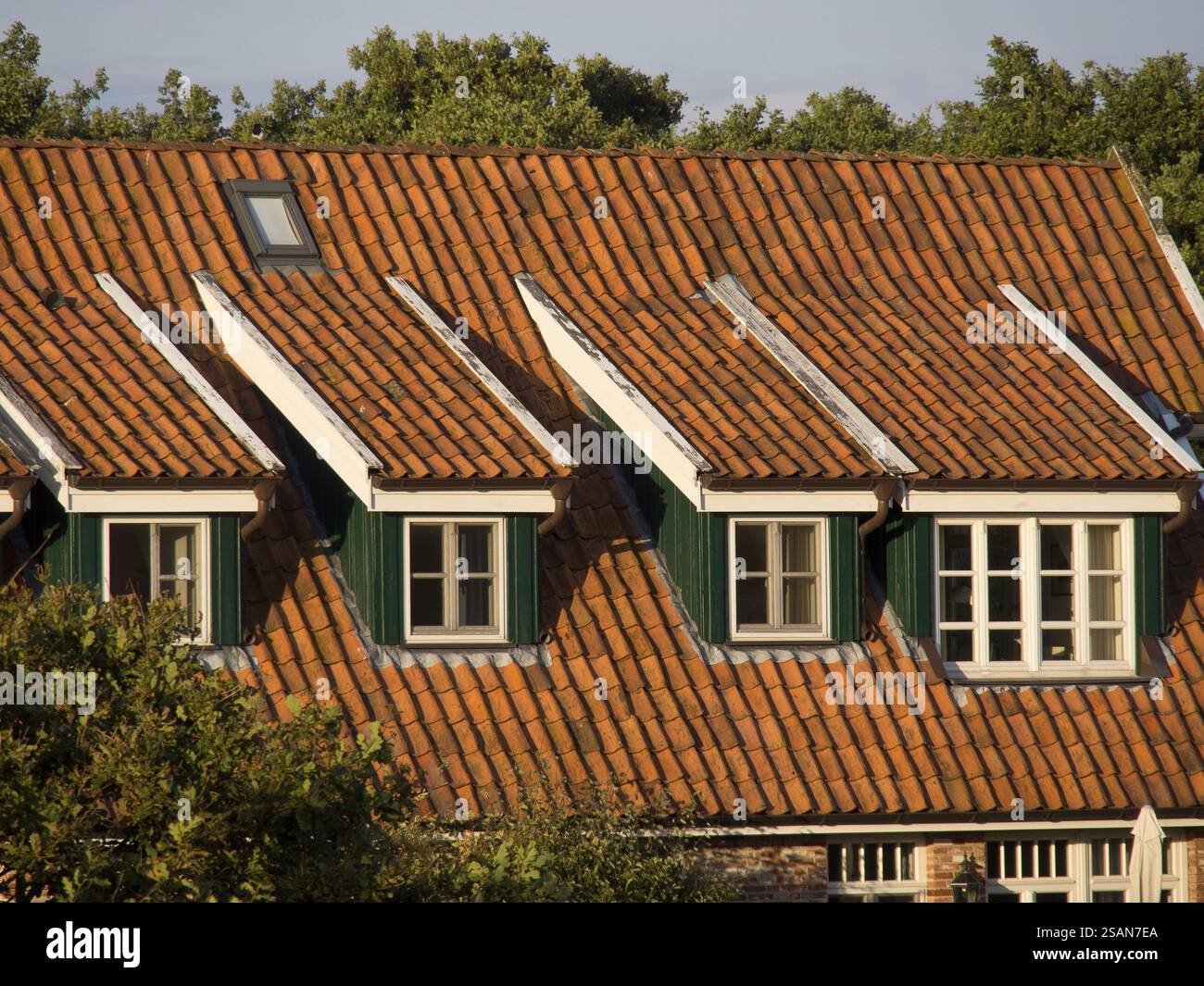 Traditional tiled house roof with several skylights against a green ...
